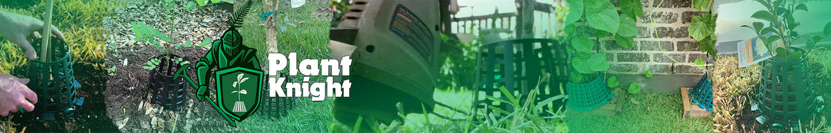 Order Today! – Plant Knight