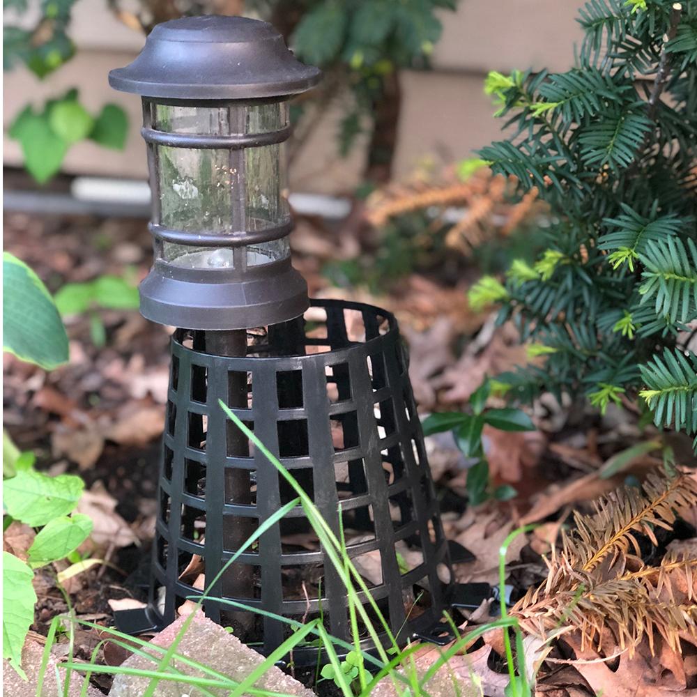 Plant Knight Black 24-Pack