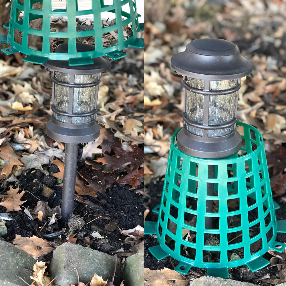 Plant Knight Green 3-Pack